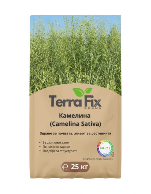 Камелина Camelina Sativa