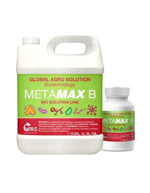 METAMAX B